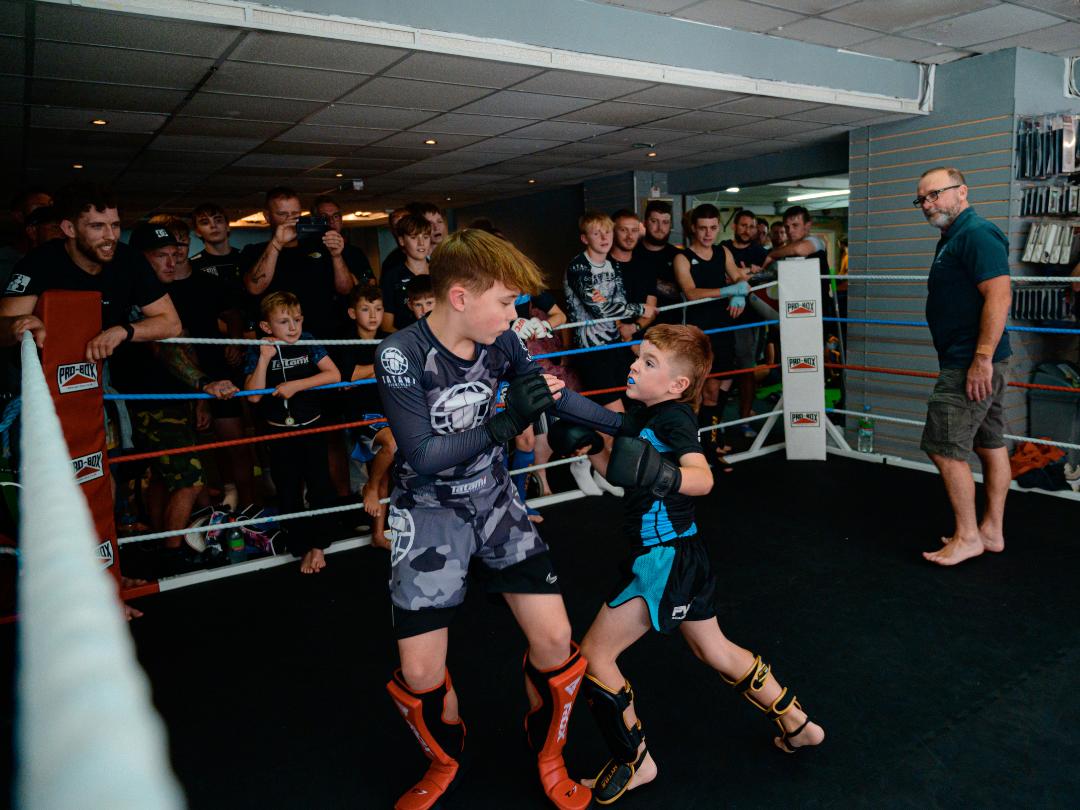 Mixed Martial Arts - The Combat Lab